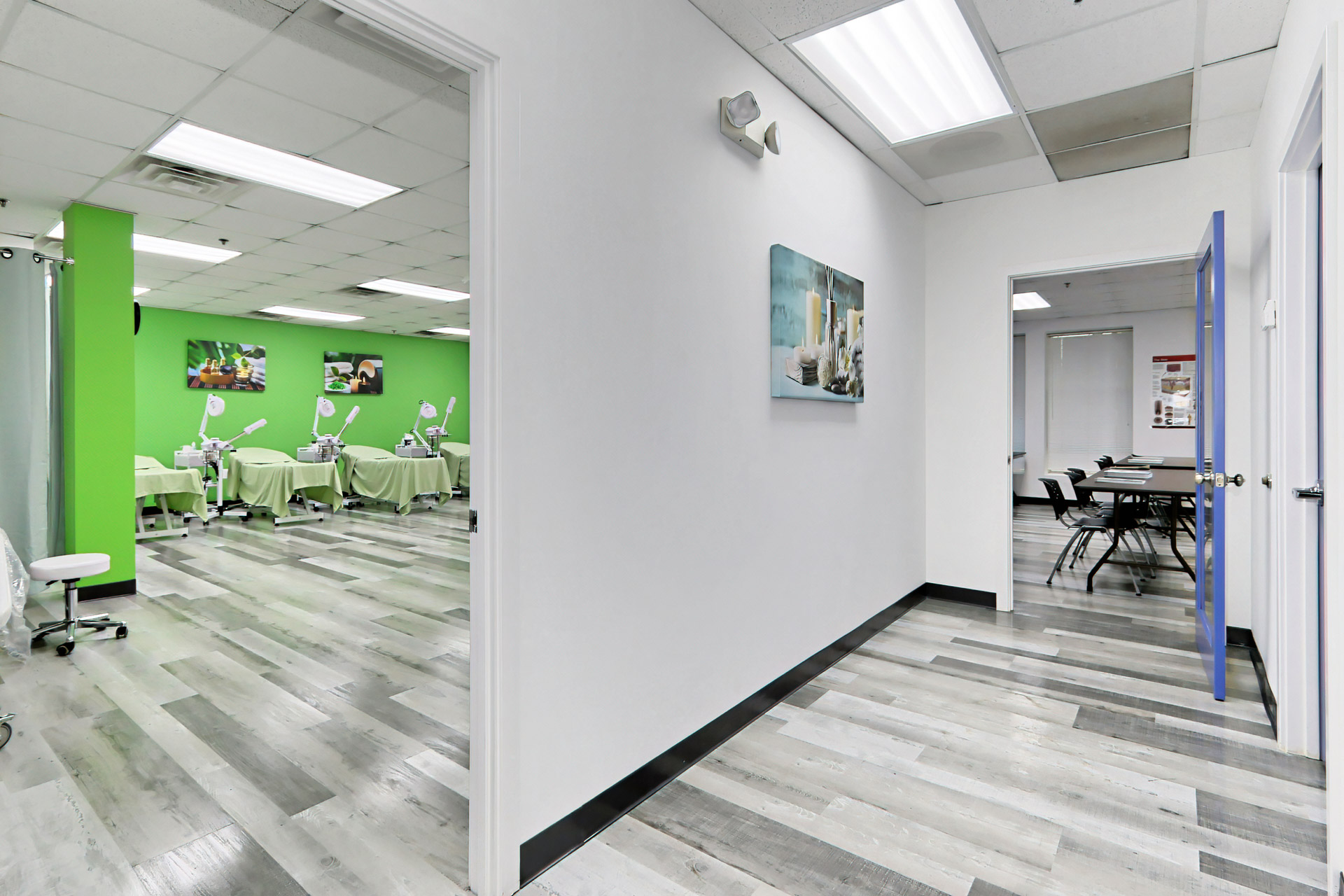 Master Esthetics Curriculum - Institute of Advanced Aesthetics